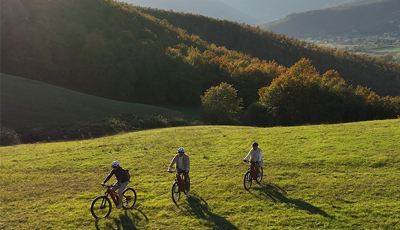 VTT | Reschio